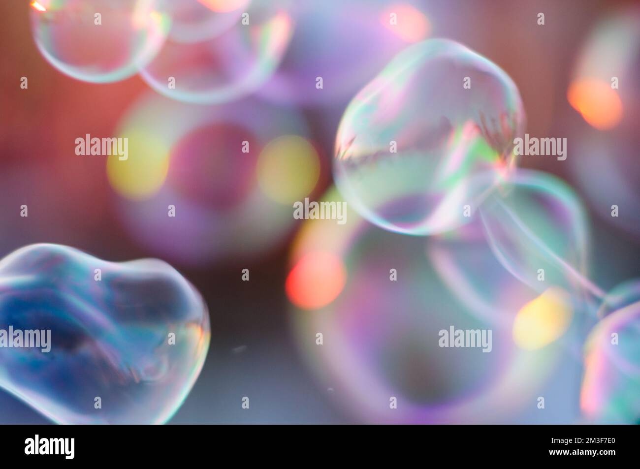 Soap bubbles floating in the air as the Summer sun sets Stock Photo - Alamy