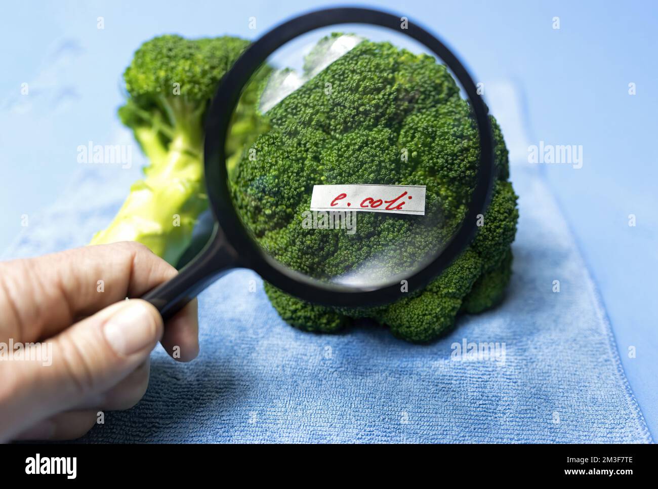 Magnifying glass food label hi-res stock photography and images - Alamy
