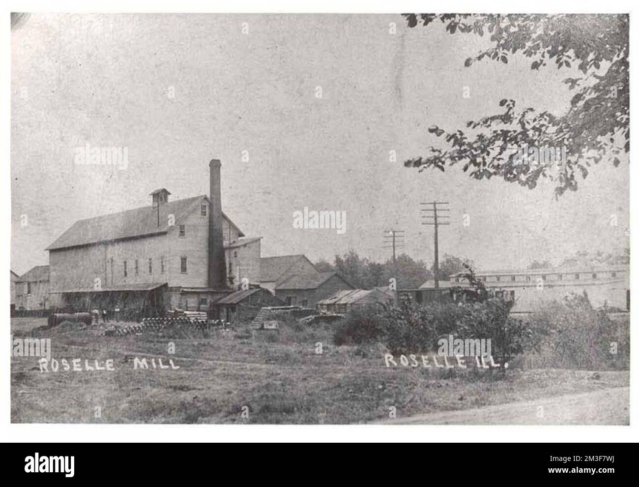 Roselle Flour and Feed Mill in 1895, before it burned down in 1916 ...