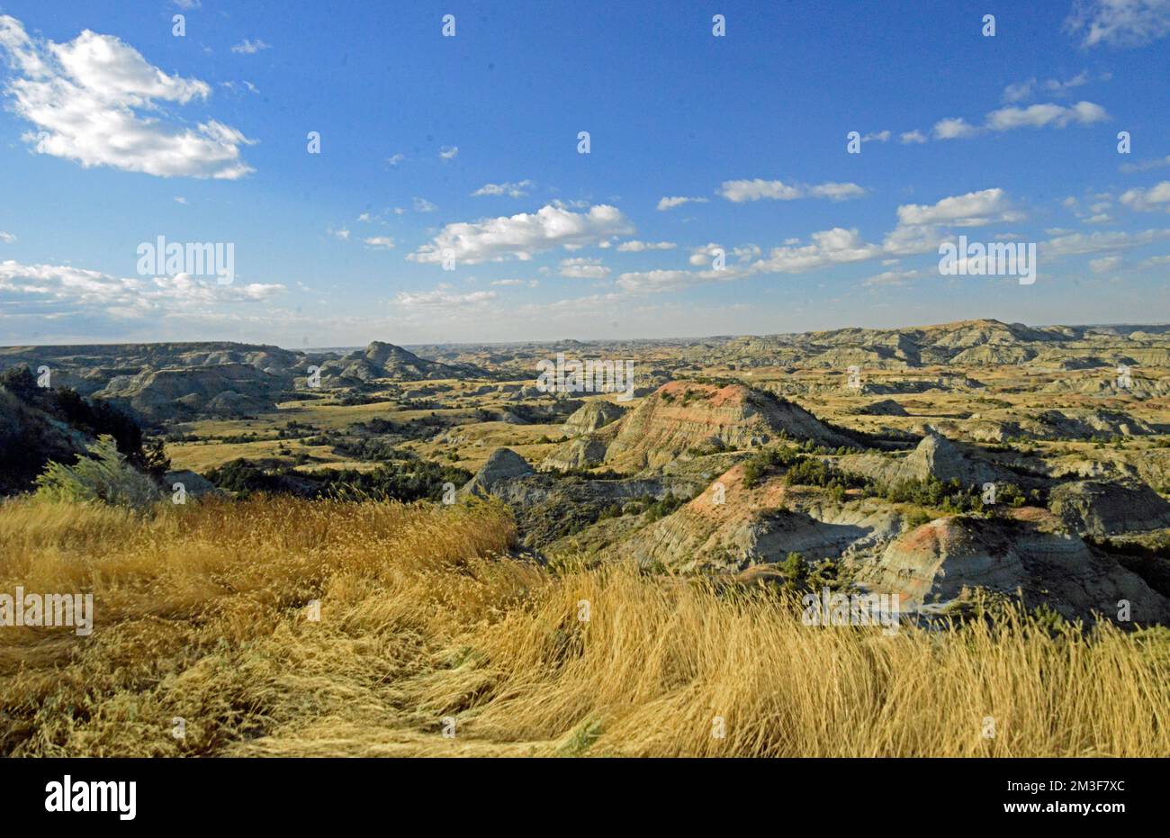 Theodore Roosevelt National Park View Stock Photo - Alamy