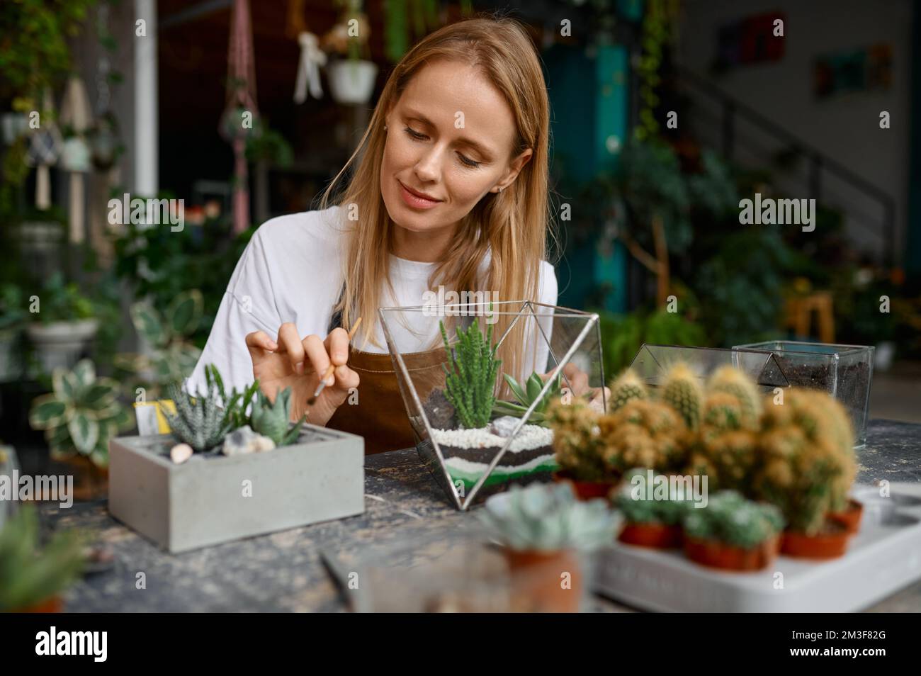Florarium vase hi-res stock photography and images - Alamy