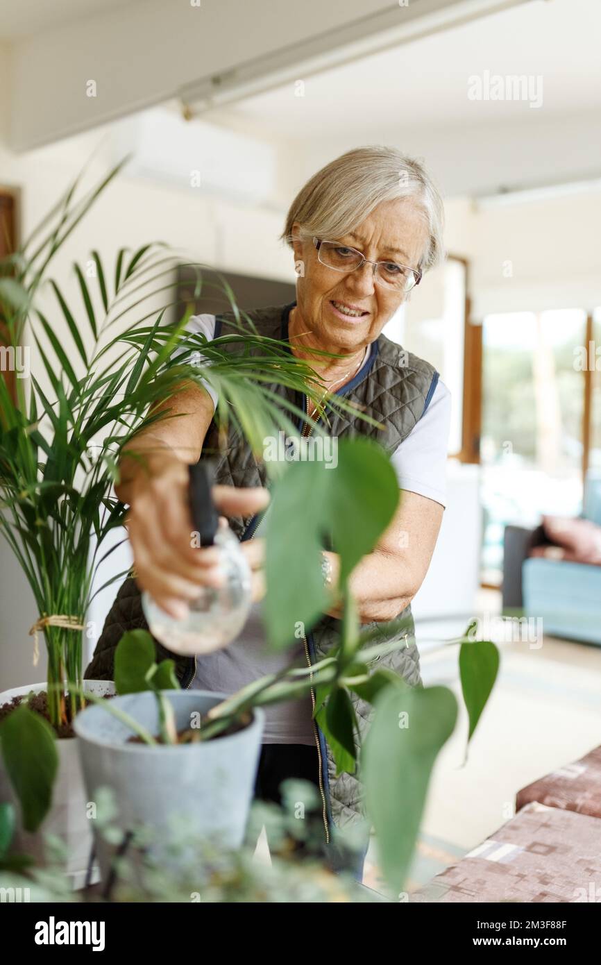 Senior woman taking care of home plant near window indoors. Creating ...
