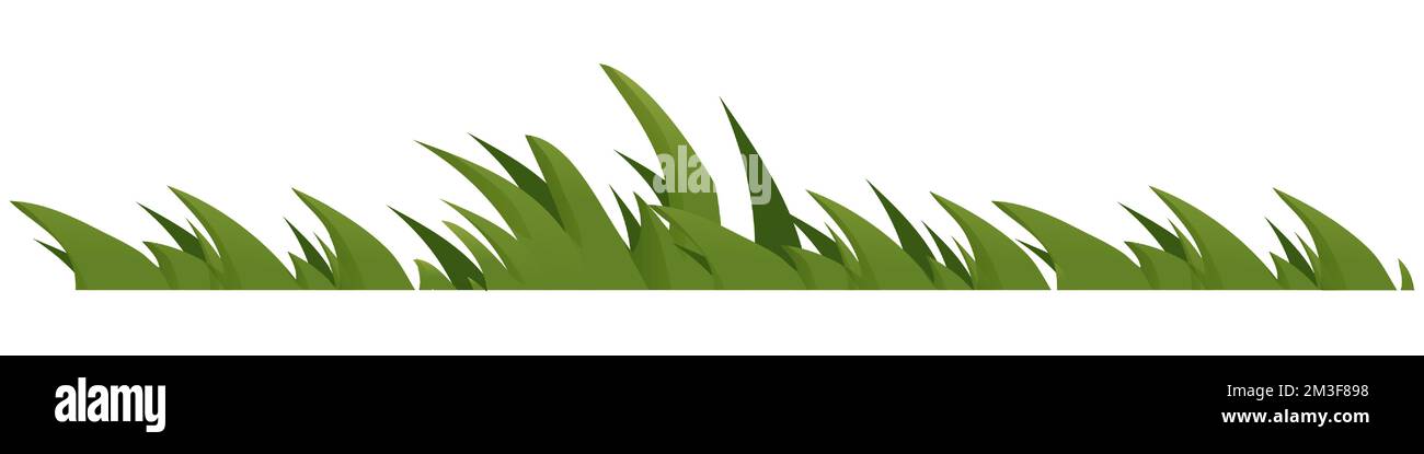 Green grass, border, natural organic decoration, fresh bush, herb in ...