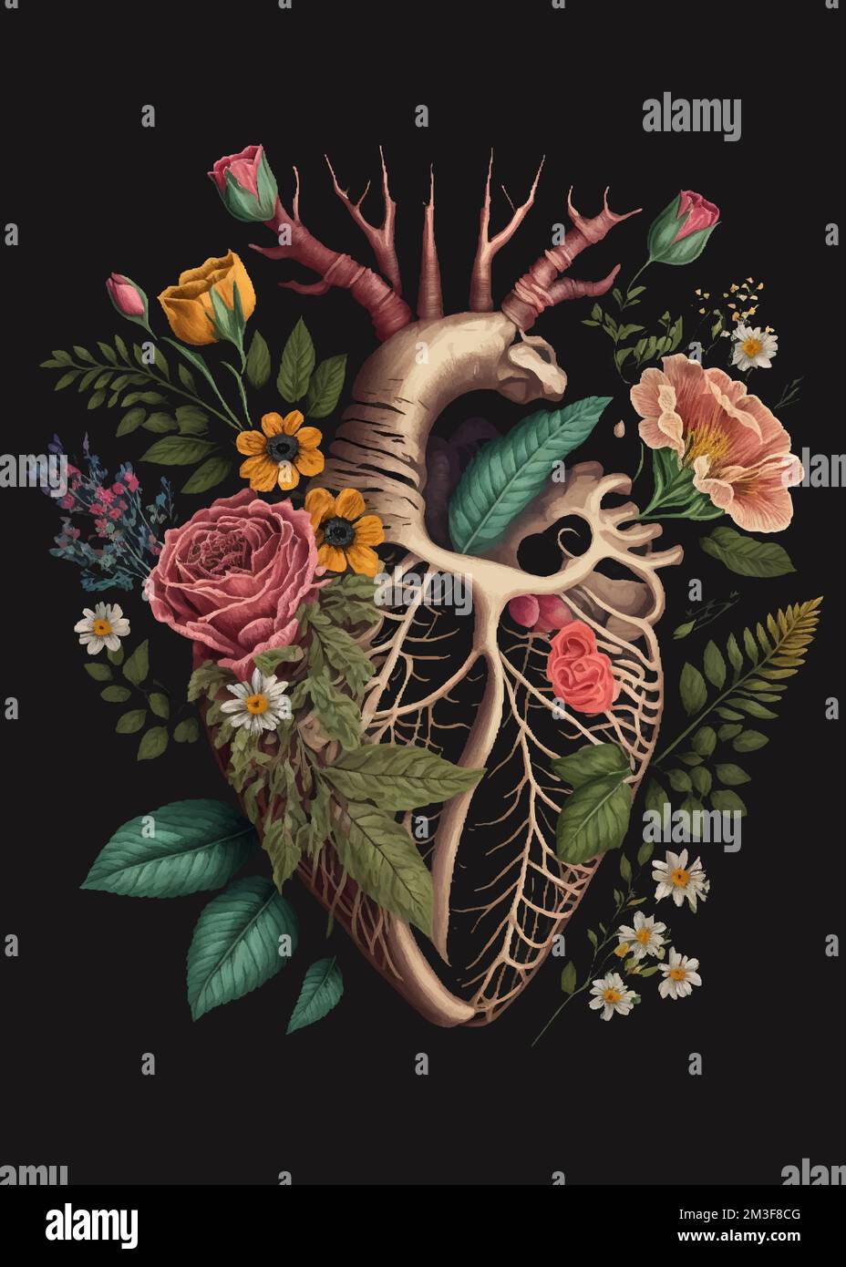 Anatomical illustration of a heart with flowers Stock Photo - Alamy