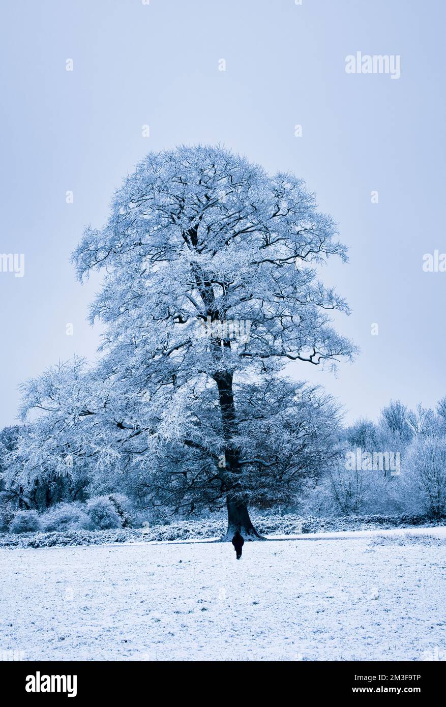 Lloyd park croydon hi-res stock photography and images - Alamy