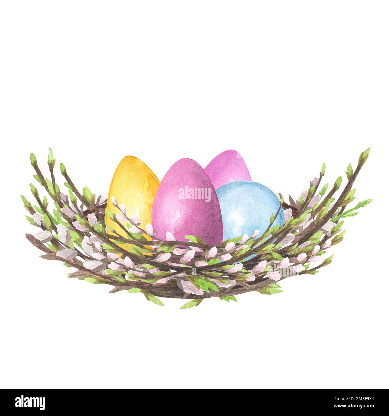 Willow nest watercolor with spring twigs, colored eggs isolated on white background. Hand ...
