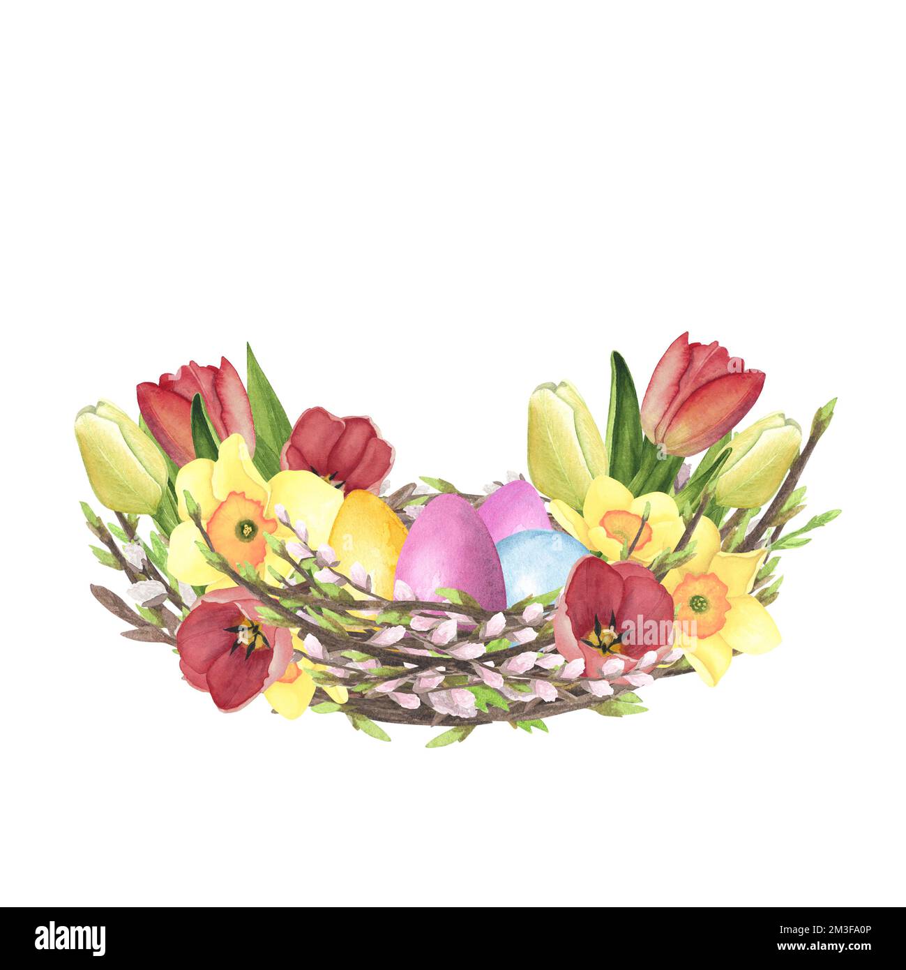 Willow nest watercolor with spring twigs, colored eggs, Tulips ...