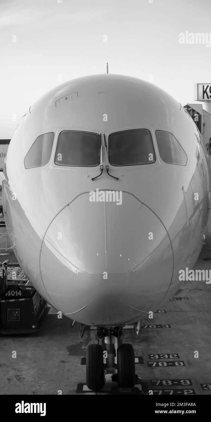 A vertical grey shot of an airplane near the terminal in an airport ...