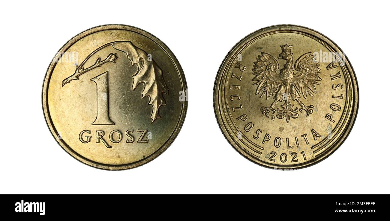 Poland 1 grosz 2017-2021 on a white background Stock Photo - Alamy