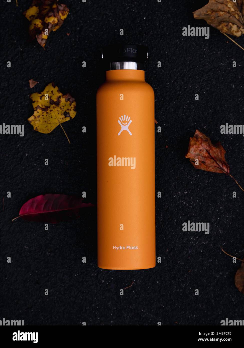 Starfish Orange HydroFlask Among Fall Leaves Stock Photo - Alamy
