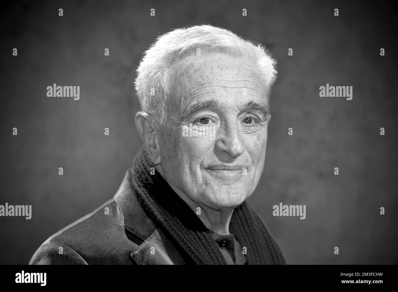 Review image Black and White Stock Photos & Images - Alamy