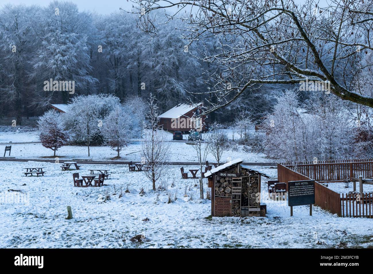 Bug Hotel for insect life. Forest Holidays in winter time Stock Photo ...