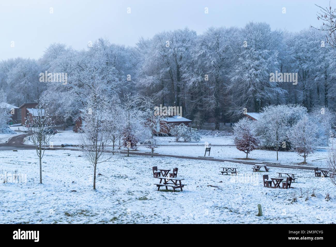 Heavy frost and snow. Forest Holidays in winter time Stock Photo - Alamy