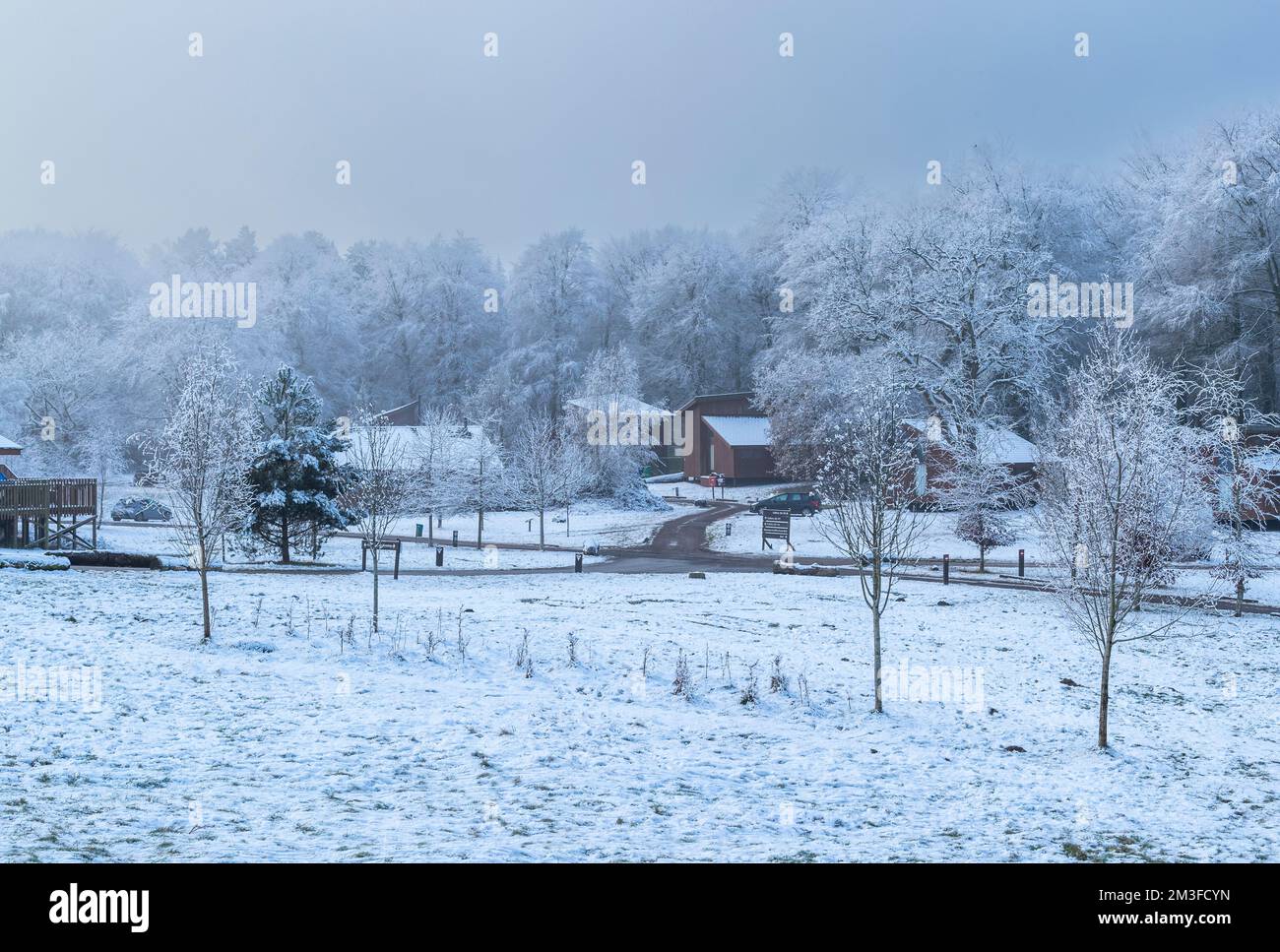 Heavy frost and snow. Forest Holidays in winter time Stock Photo - Alamy