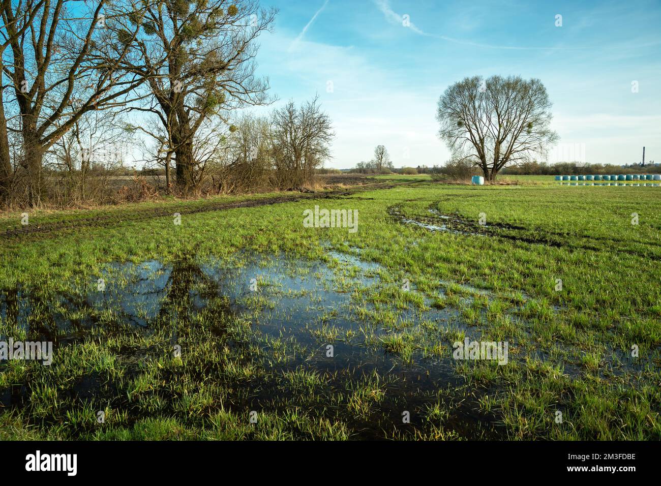 Ground after rainfall hi-res stock photography and images - Alamy