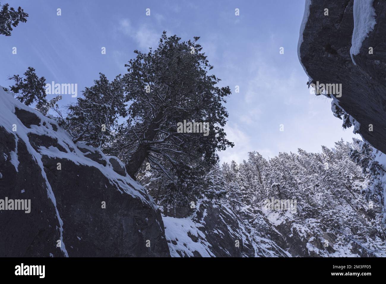 Grotto canyon banff hi-res stock photography and images - Alamy Grotto canyon banff hi-res stock photography and images - Alamy