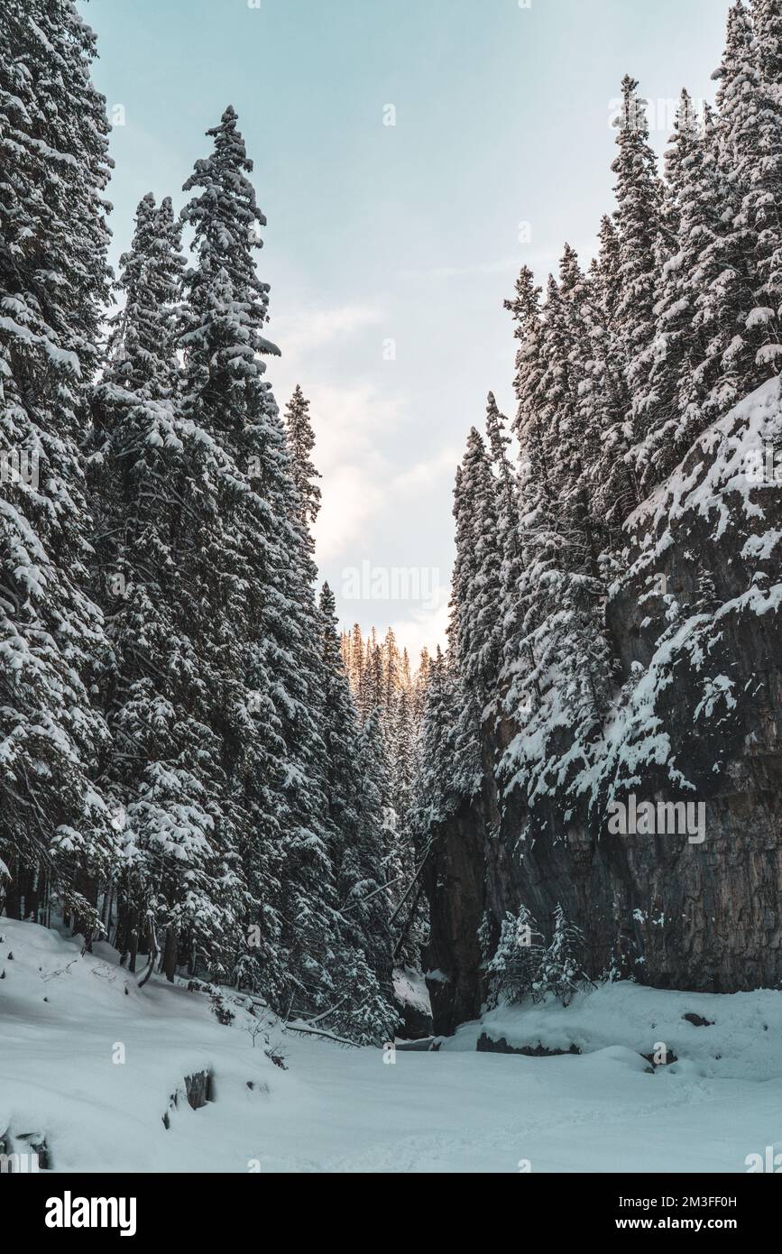 Grotto canyon banff hi-res stock photography and images - Alamy Grotto canyon banff hi-res stock photography and images - Alamy