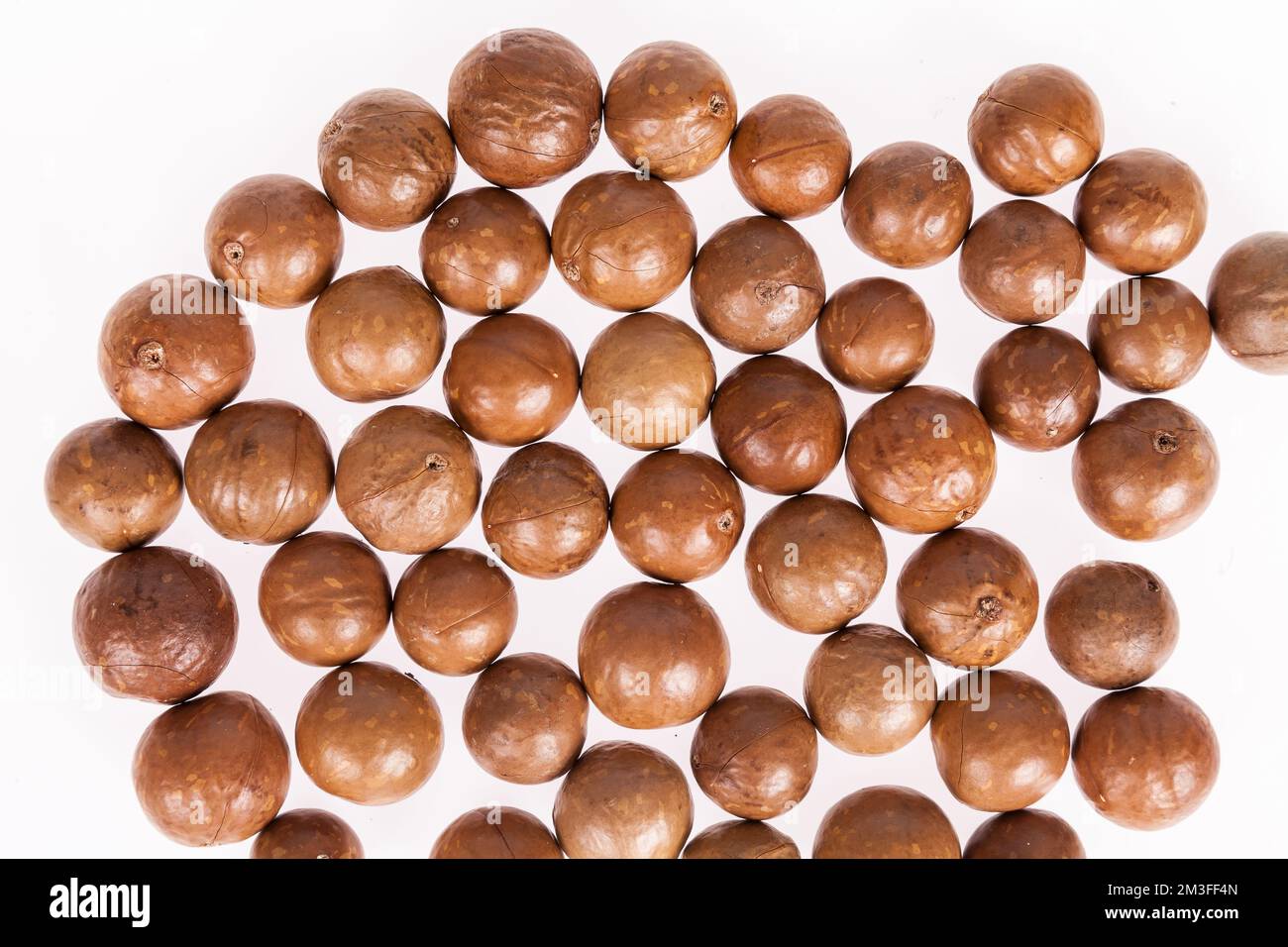 Australian bush food hi-res stock photography and images - Alamy