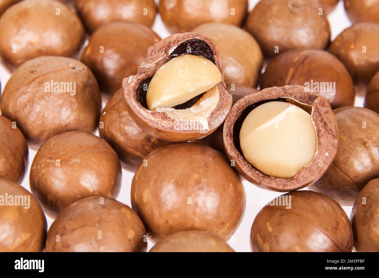 Macadamia nuts or Australian walnuts on white background Stock Photo ...