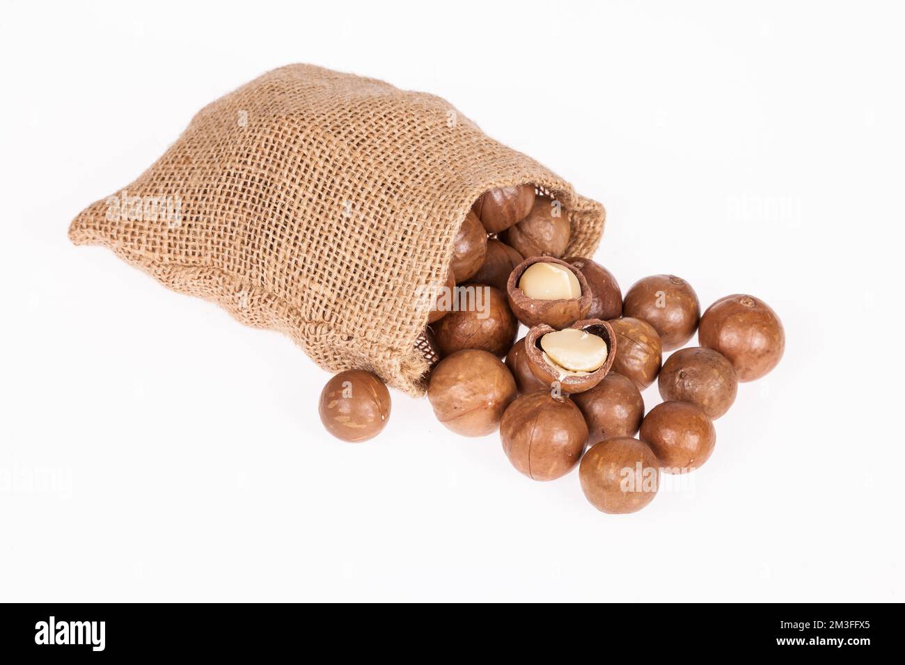 Macadamia nuts or Australian walnuts on white background Stock Photo ... Macadamia nuts or Australian walnuts on white background Stock Photo ...