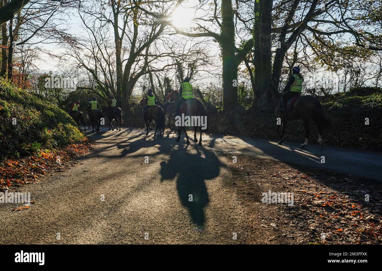 Horses from Paul Nicholls stable during a visit to Manor Farm Stables ...