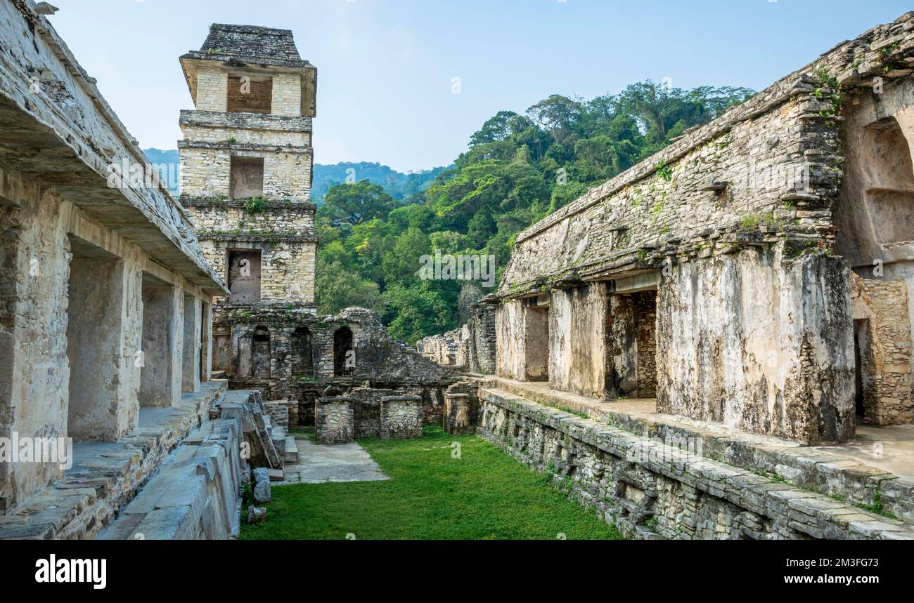 A scenic view of Palenque ruins and pyramids under blue sky in Mexico ...