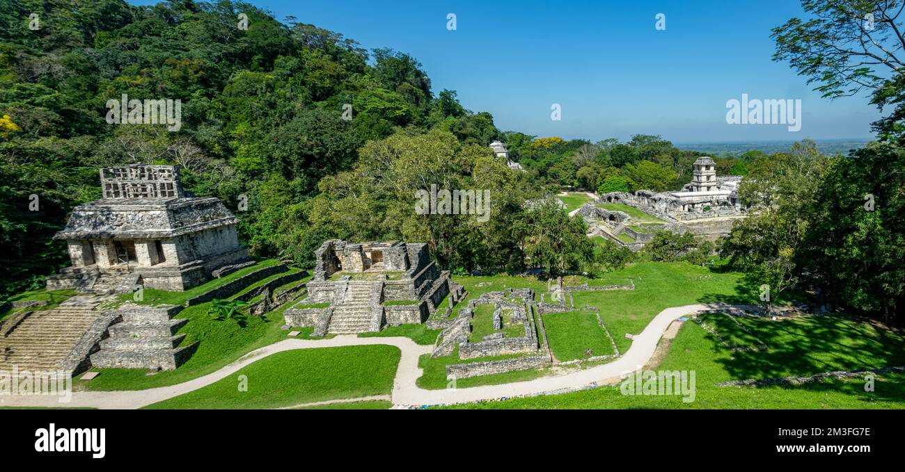A scenic aerial view of Palenque ruins and pyramids under blue sky in ...