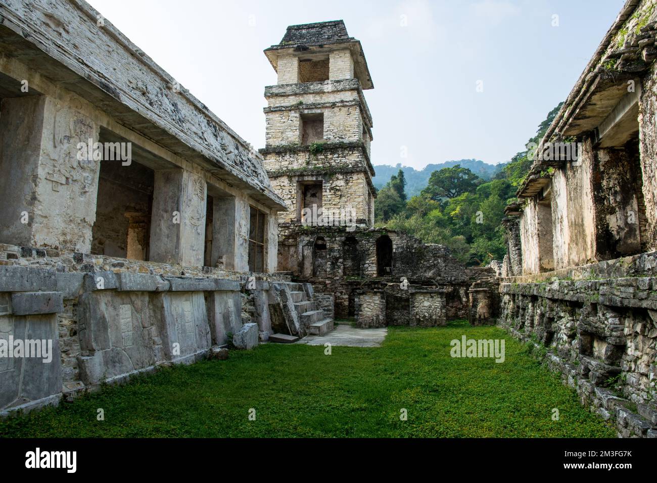 A scenic view of Palenque ruins and pyramids under blue sky in Mexico ...