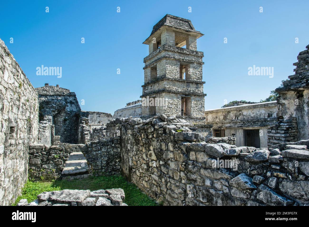 A scenic view of Palenque ruins and pyramids under blue sky in Mexico ...