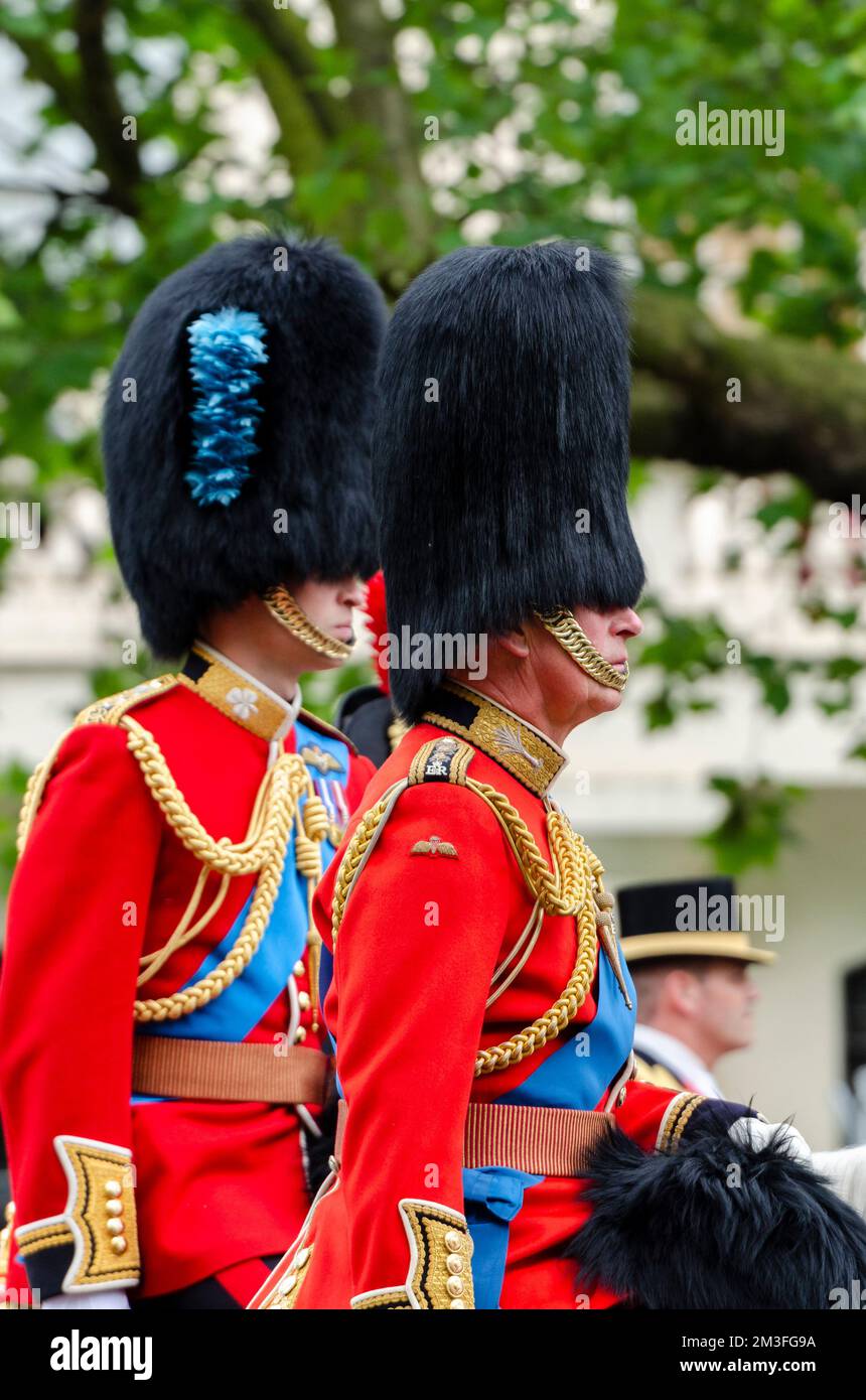Prince William, Duke of Cambridge, behind Prince Charles, Duke of ...