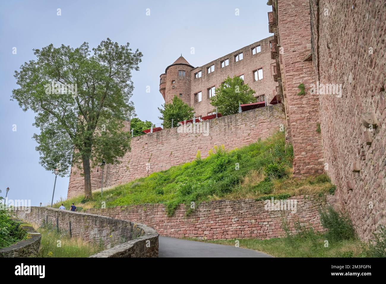 Burg, Wertheim, Baden-Württemberg, Deutschland Stock Photo - Alamy