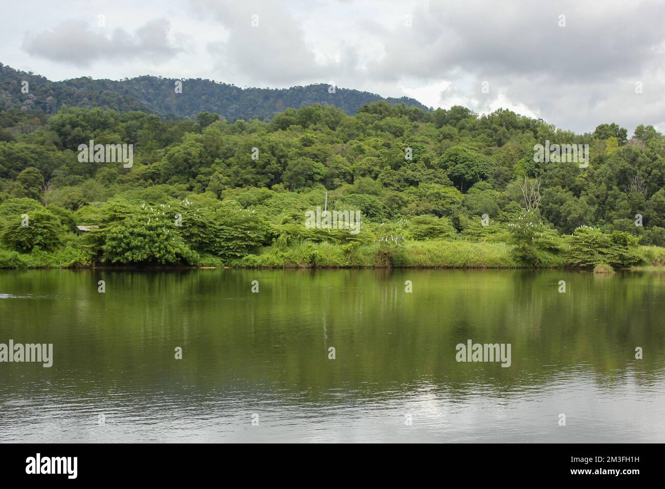 Scenic landscape of green hills and forests on the banks of the Kinta ...