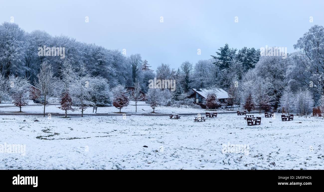 Heavy frost and snow. Forest Holidays in winter time Stock Photo - Alamy