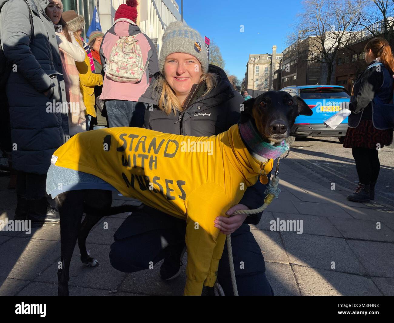 Lenny the 5-year-old rescue greyhound wearing an 'I Stand With Nurses ...