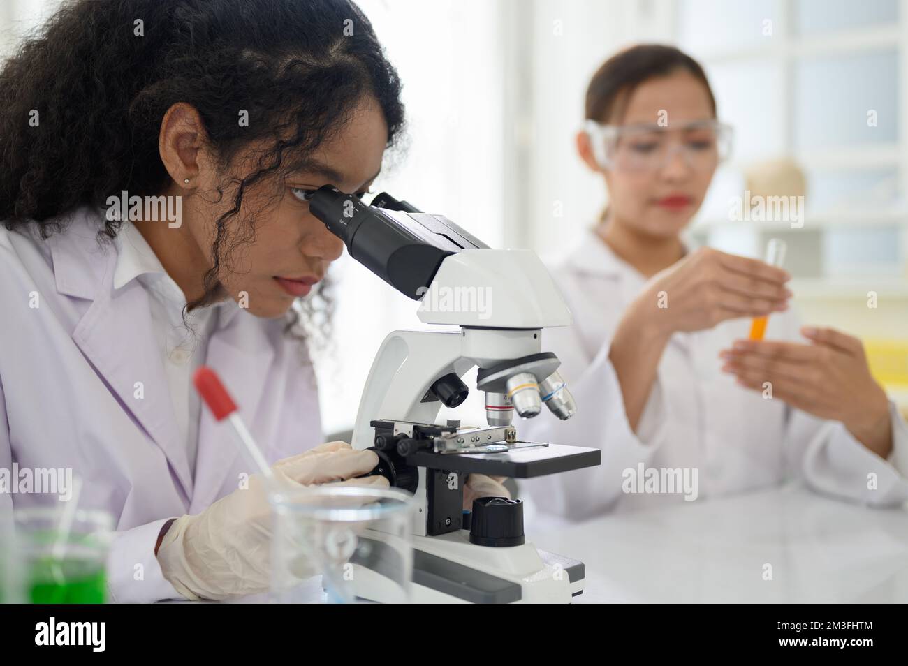 Portrait of beautiful black scientist looking under microscope Stock ...
