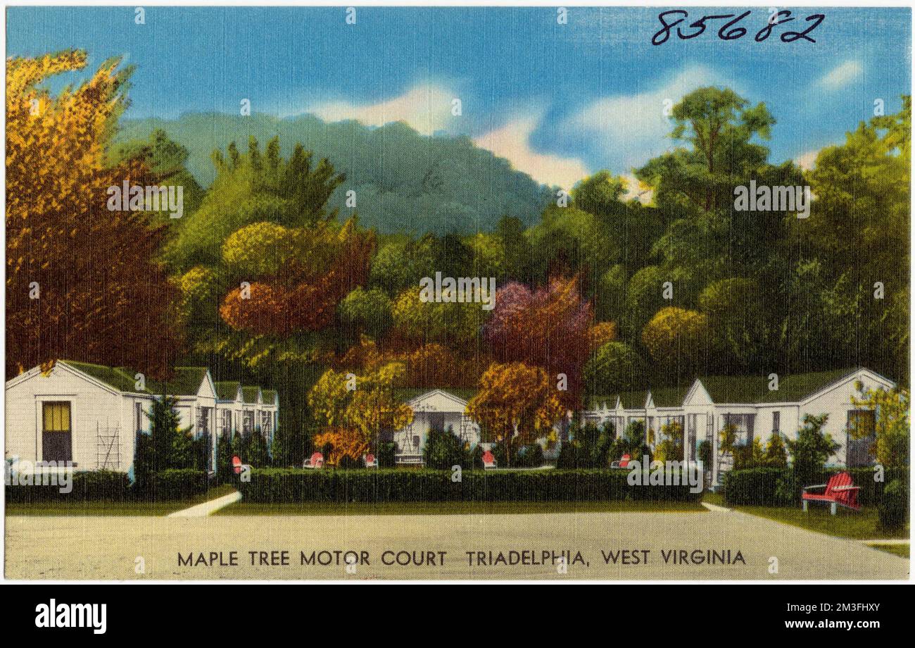 Maple Tree Motor Court, Triadelphia, West Virginia , Motels, Tichnor ...