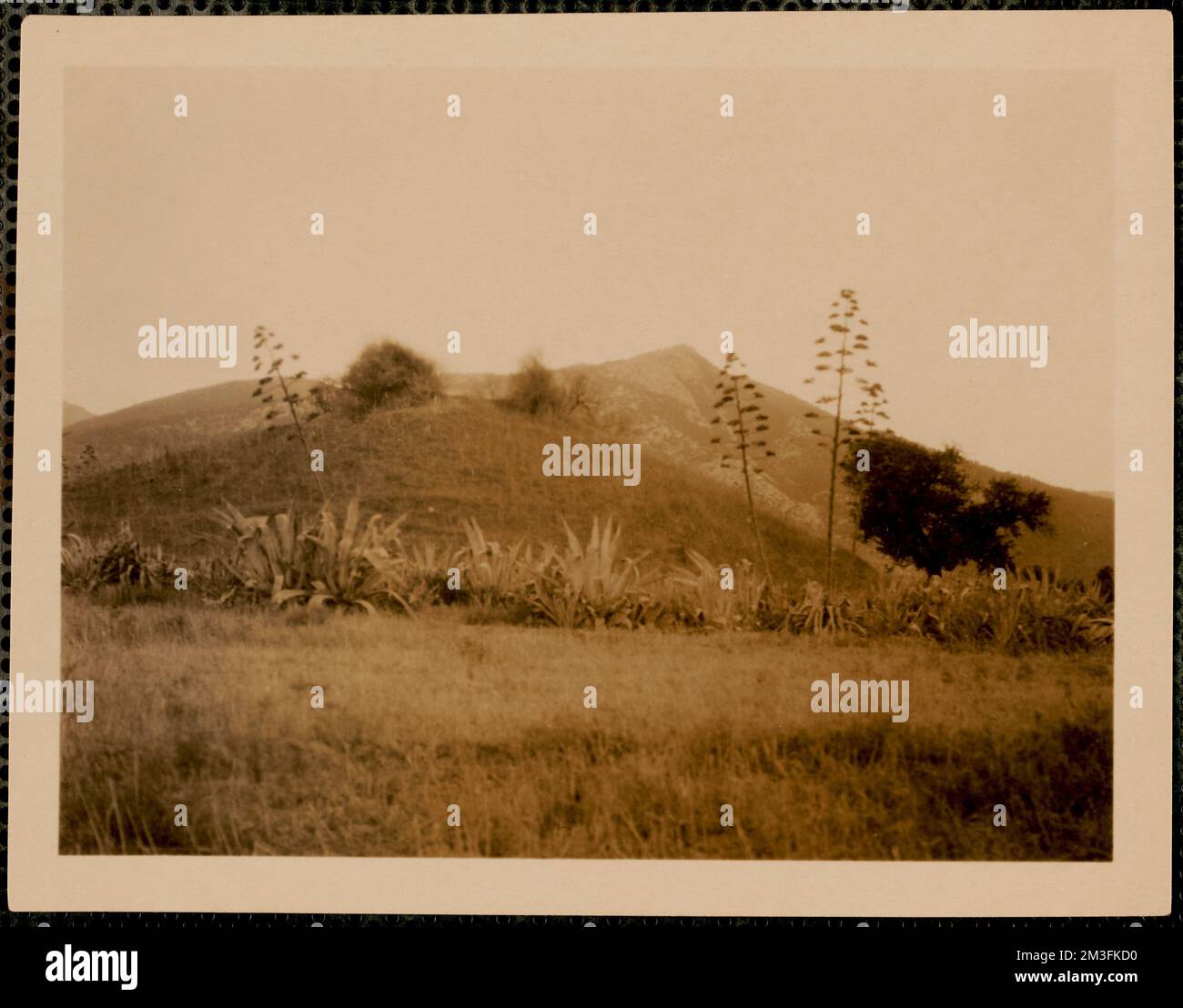 Marathon - the Soros , Mounds Burials. Nicholas Catsimpoolas Collection ...