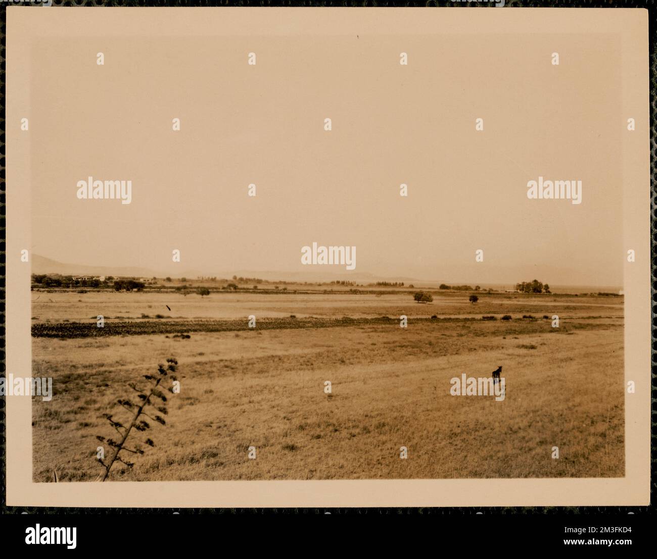 Marathon - plain of the battle , Battlefields, Plains. Nicholas ...