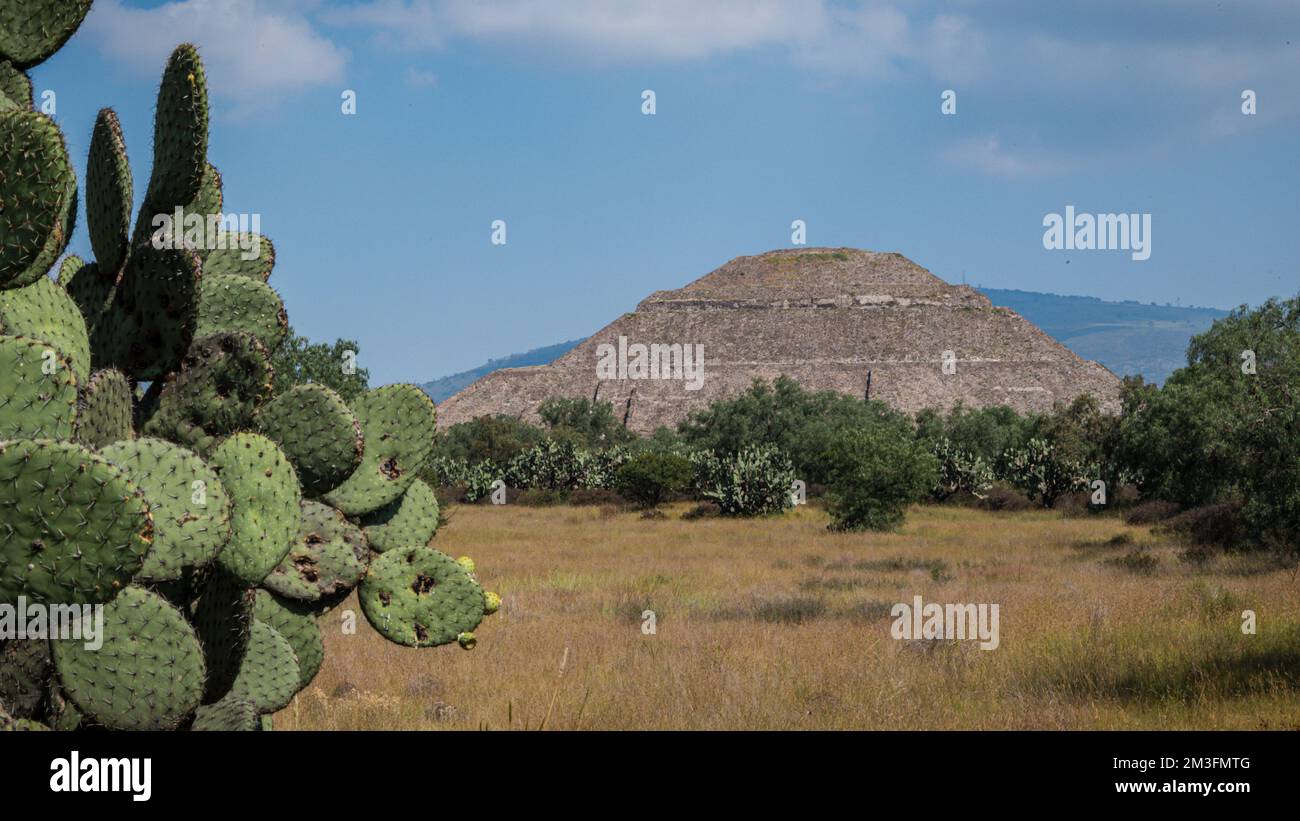 The nature near the Pyramids of teotihuacan in Mexico City Stock Photo ...