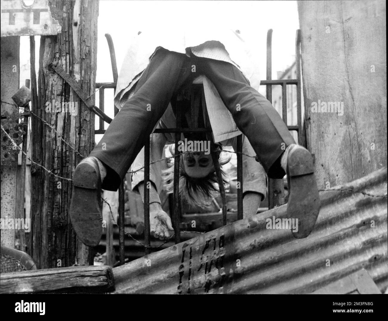 Das Paradies auf der andere Seite - Am Gartenzaun, im Hinterhof des ...