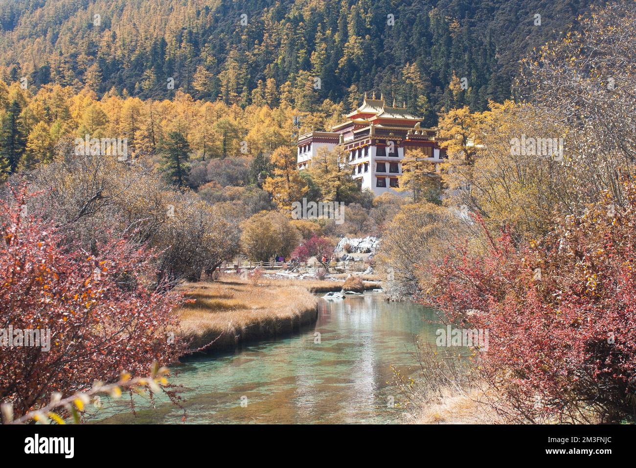 Chonggu meadow, Yading National Nature Reserve, Sichuan,China Stock ...