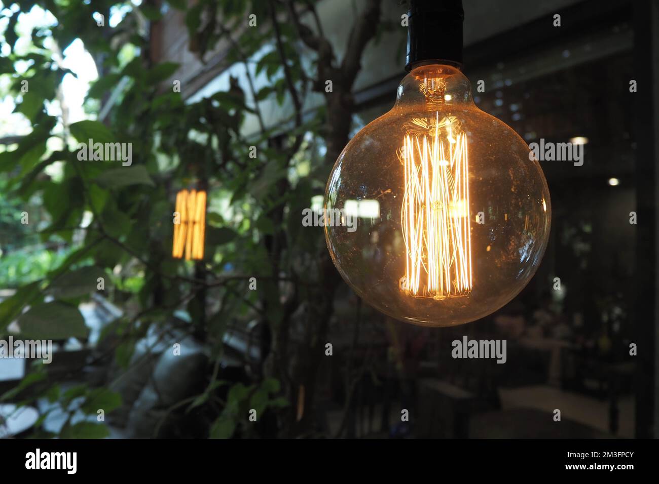 Vintage bulb leaf behind hi-res stock photography and images - Alamy