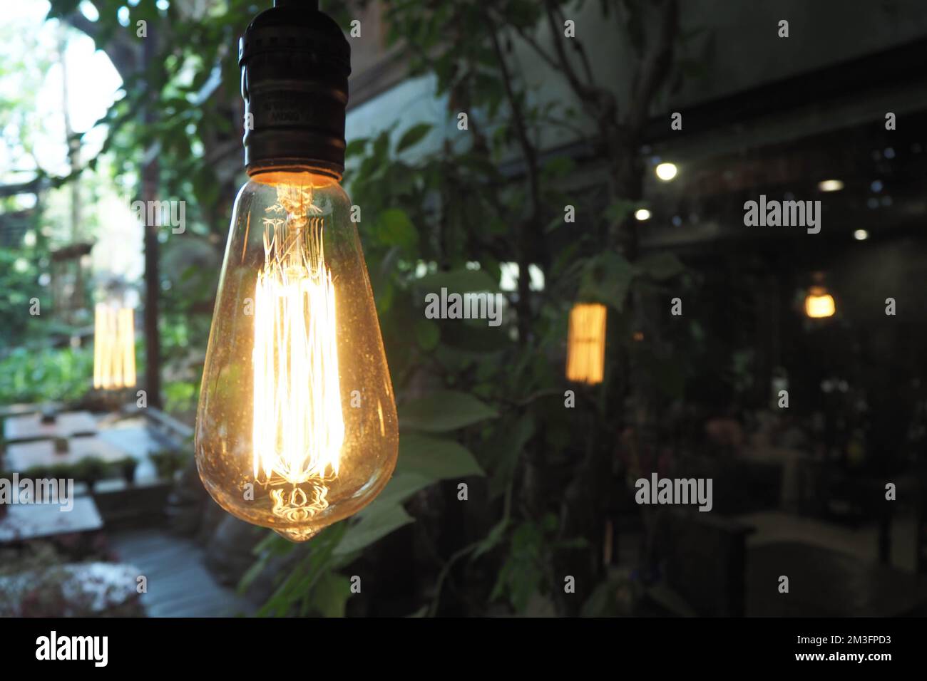 Energy bulb leaf icon hi-res stock photography and images - Alamy