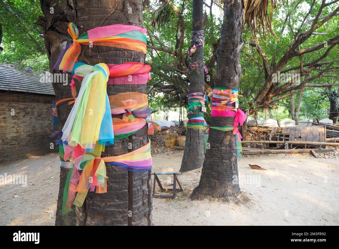 Colorful cloth tied to a tree in connection with Buddhist rituals Stock ...