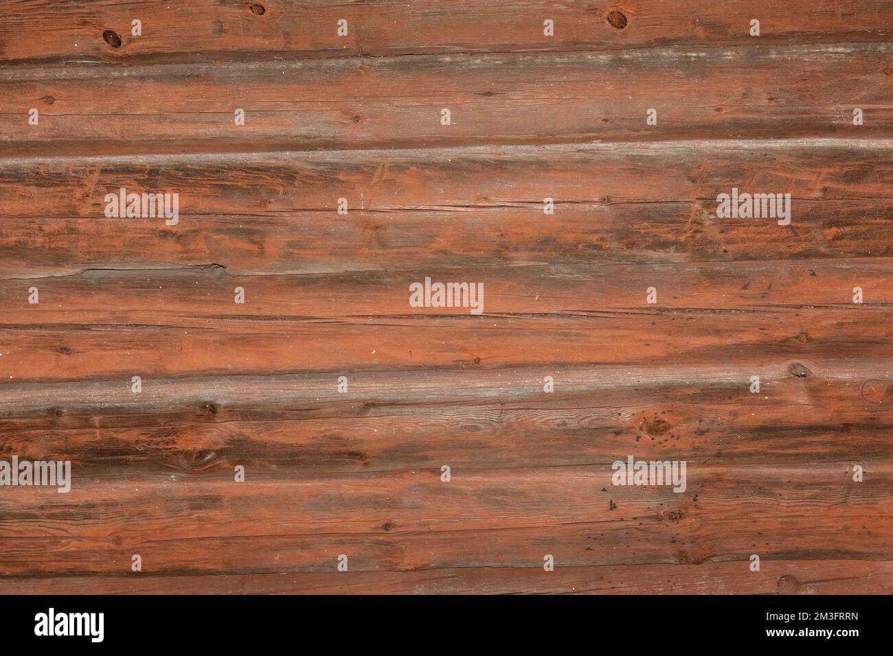 Patterns in nature can be found everywhere Stock Photo - Alamy