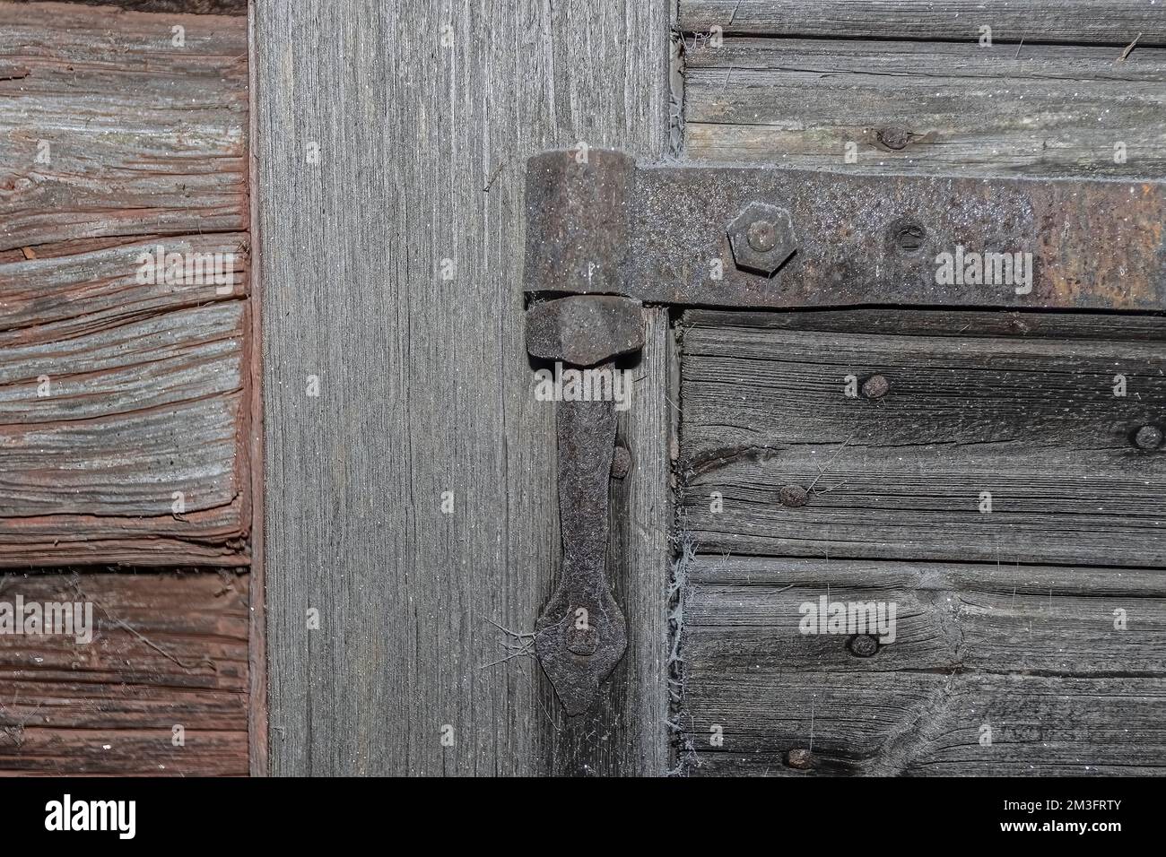 Patterns in nature can be found everywhere Stock Photo - Alamy