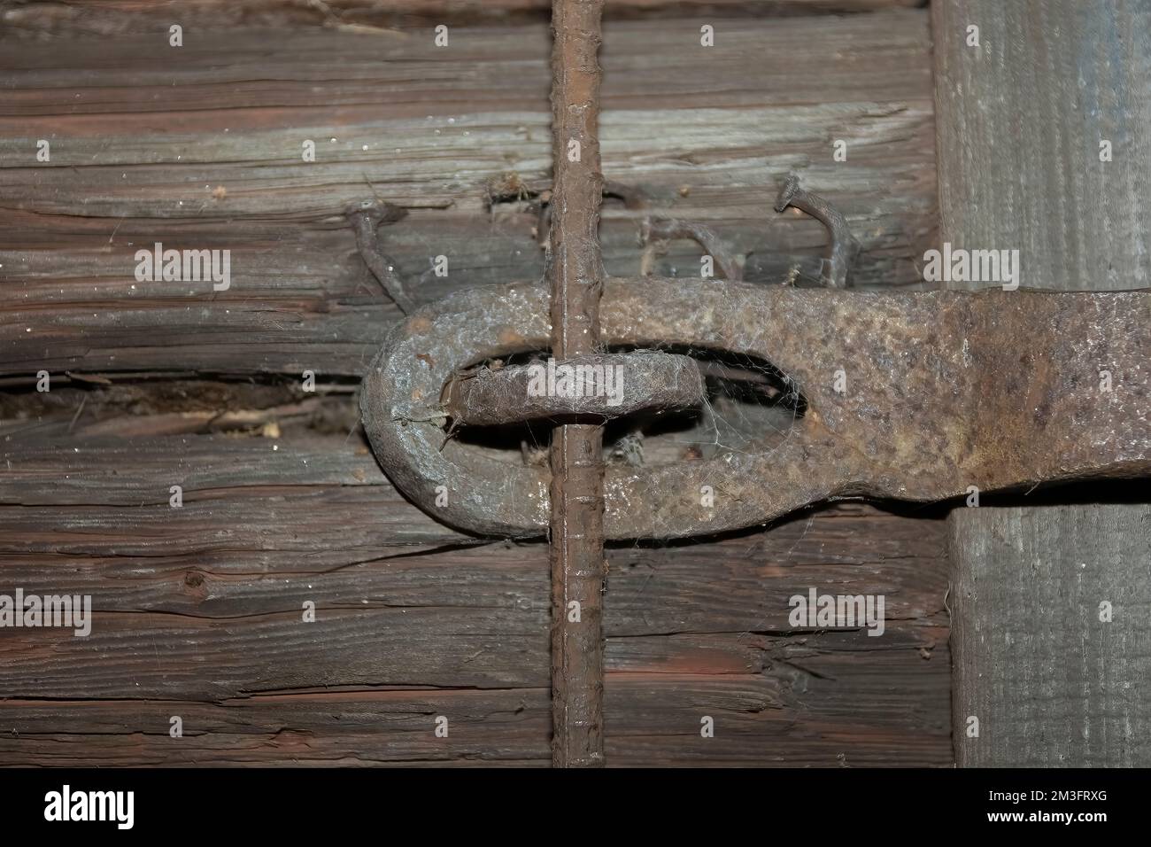 Patterns in nature can be found everywhere Stock Photo - Alamy