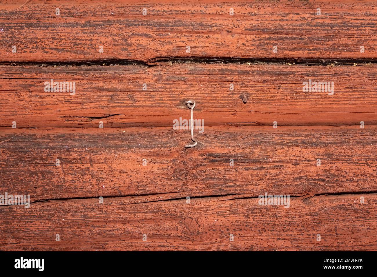 Patterns in nature can be found everywhere Stock Photo - Alamy
