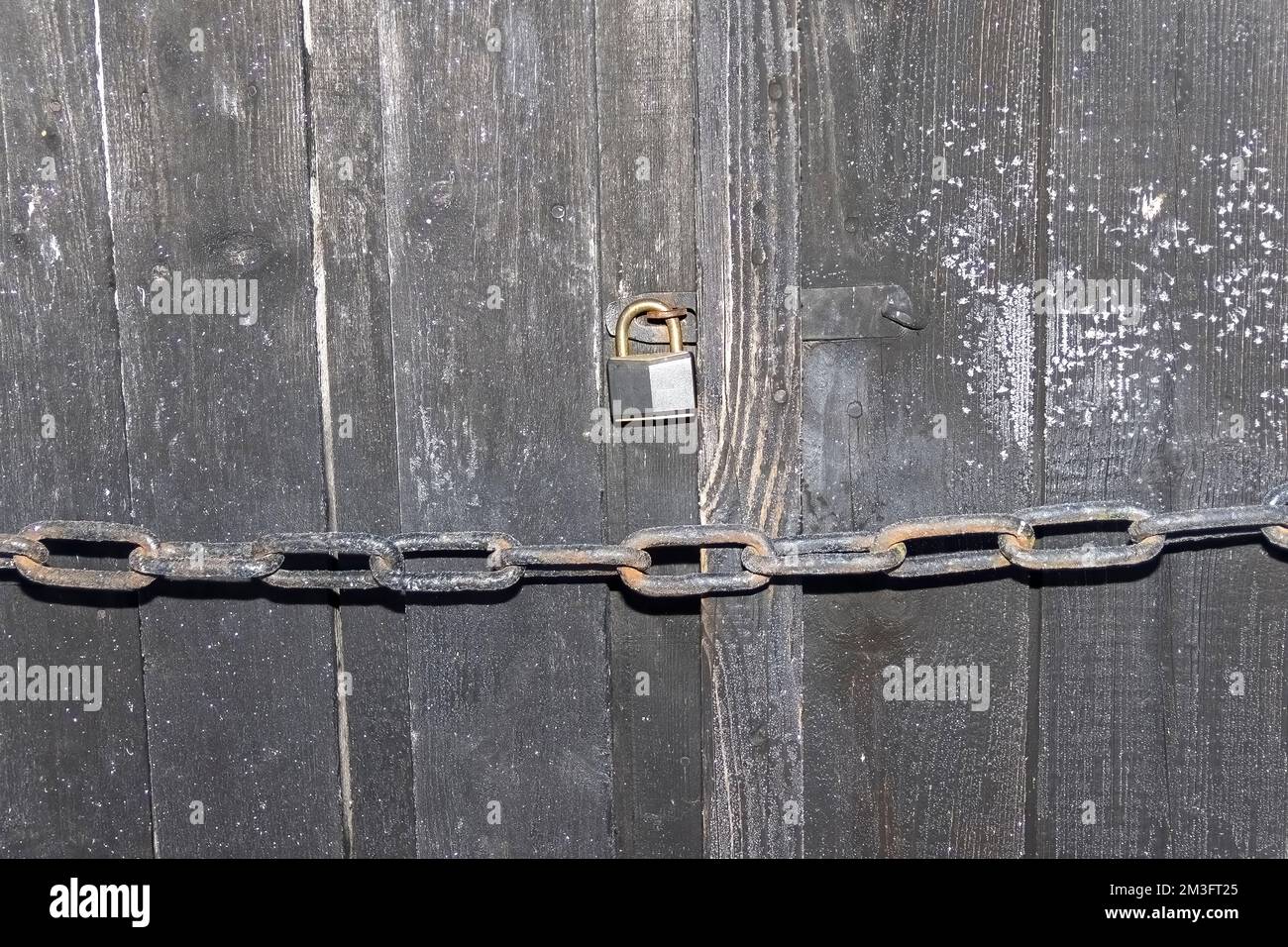 Patterns in nature can be found everywhere Stock Photo - Alamy