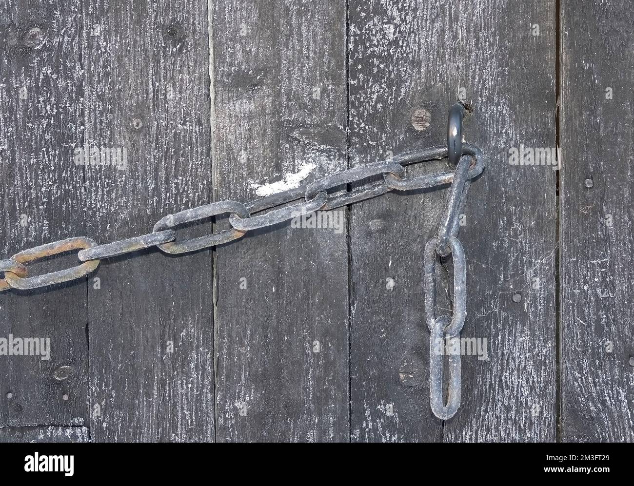 Patterns in nature can be found everywhere Stock Photo - Alamy